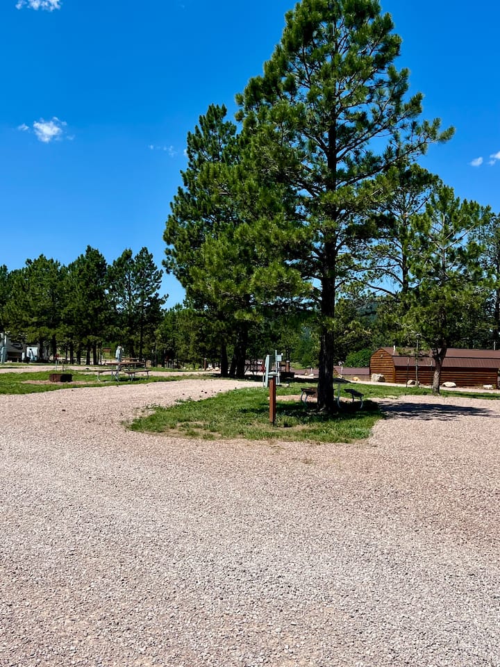 45' Back In Rv Sites - Keystone, SD