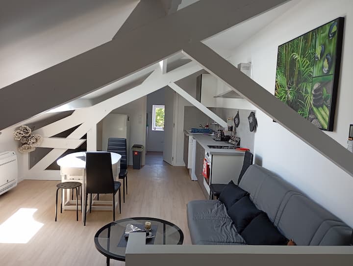 Loft 55m2 Climatisé 2 à 4 Pers - Lot