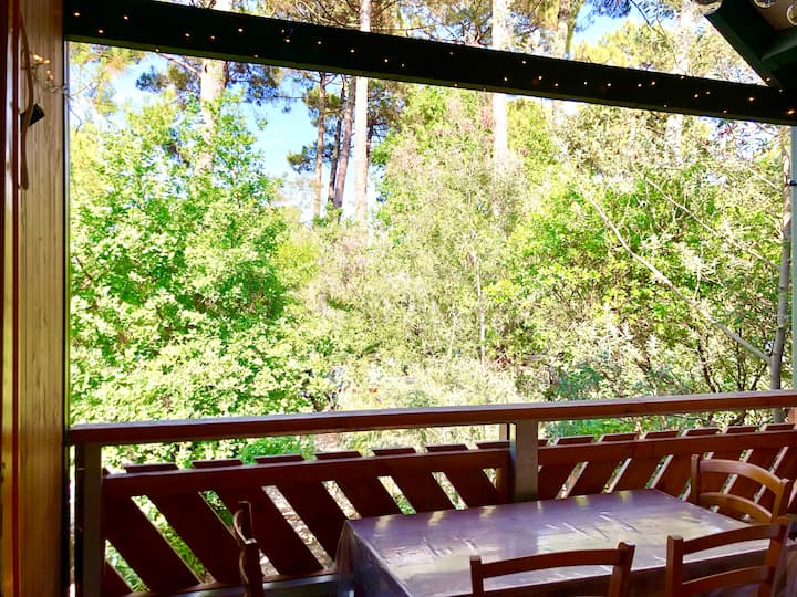 Duplex : Pins, Bassin Et Océan. - Lège-Cap-Ferret