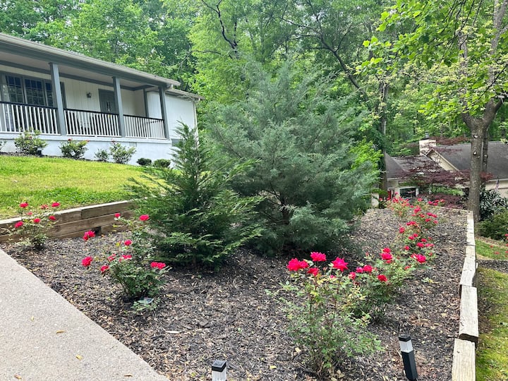 Warm Home & Amazing Backyard. - Marietta, GA