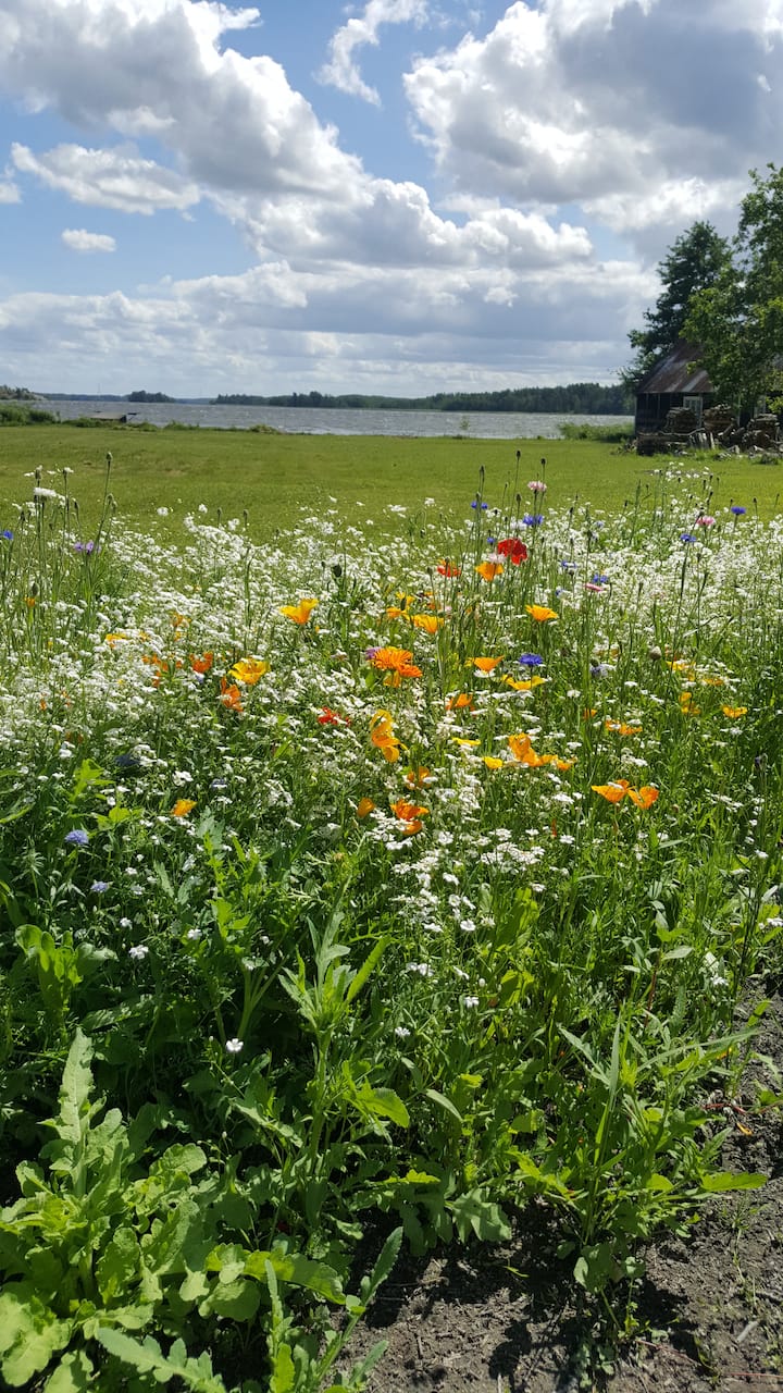 Sjönära Hus Vid Mälaren - Enköping