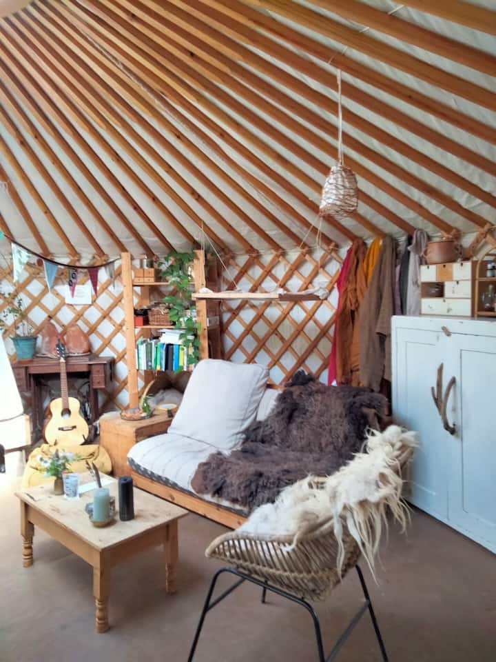 Natuurlijke Yurt Aan De Uiterwaarden + Lieve Kat - Veenendaal