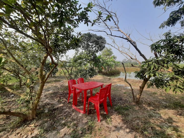 Alokmonjir Farm House. - Baruipur