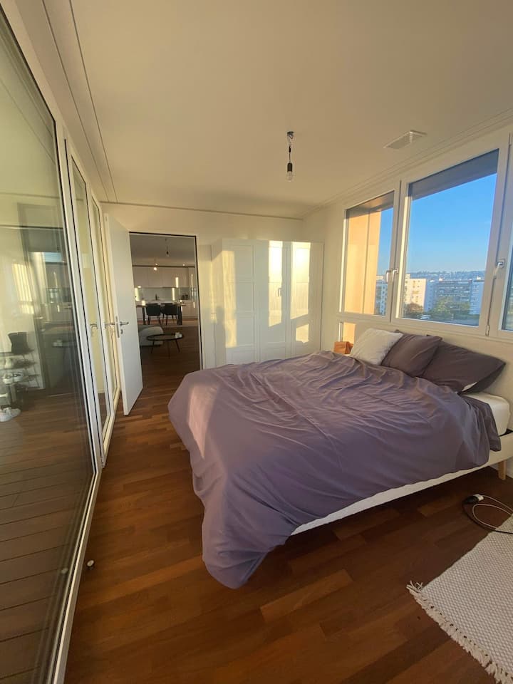 Charming 1-bedroom Flat - Zurich