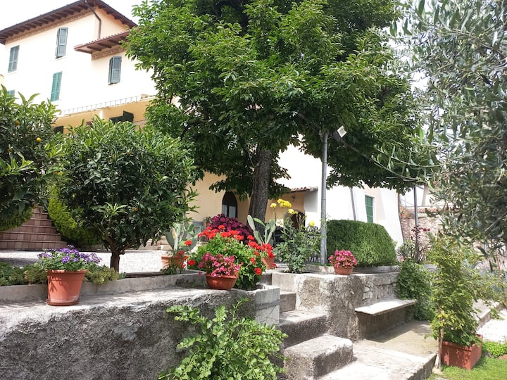 Giardinofiorito 017187-cni-00609 - Toscolano-Maderno