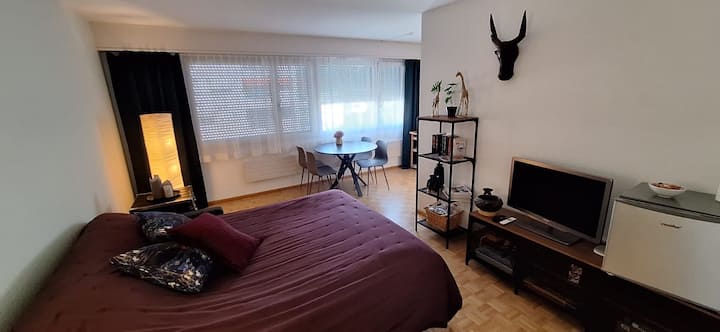 Zentrales 2,5 Zi Appartement Nähe Sbb - Basel