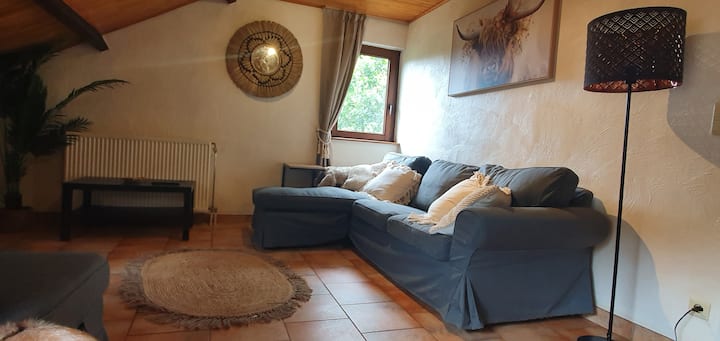 Penthouse River Vieuw - La Roche-en-Ardenne