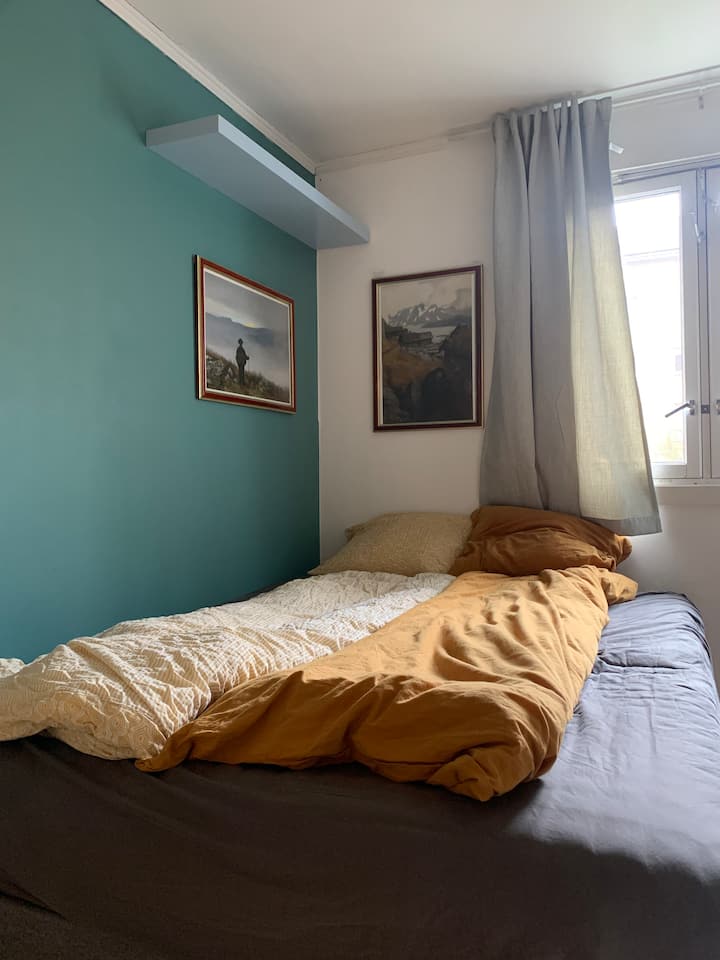 Room In Oslo City Center - Oslo