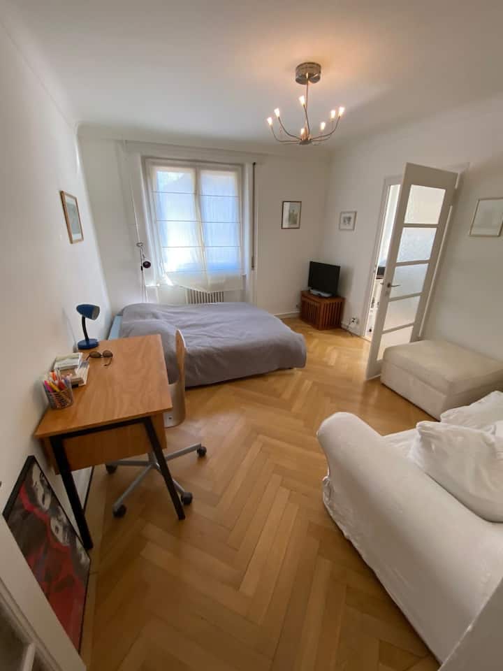 Joli 2 Pièces 35m2 Meublé. - Genewa
