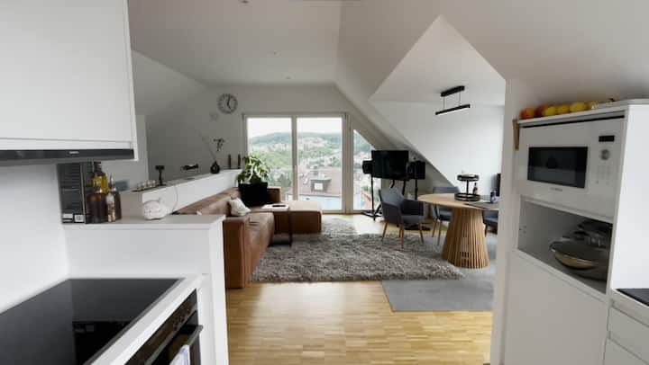 Penthouseapt, Pvt.lift&pano-view - Stuttgart