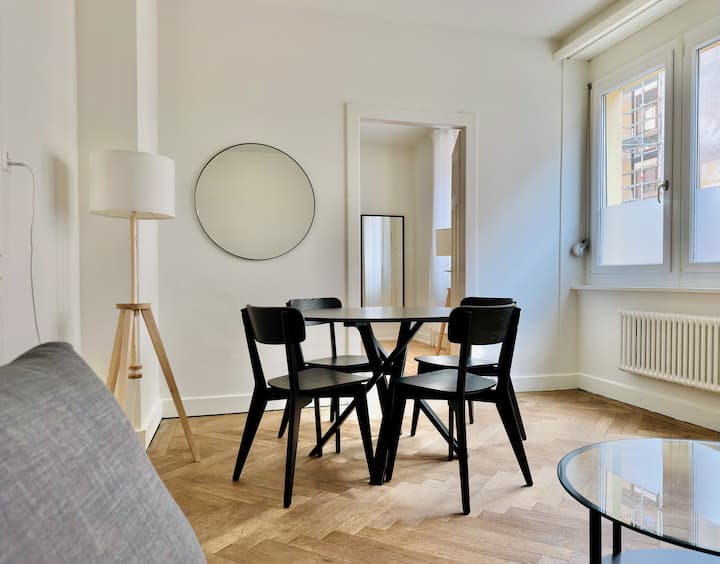 Equipped Flat In Central Zurich - Zürich