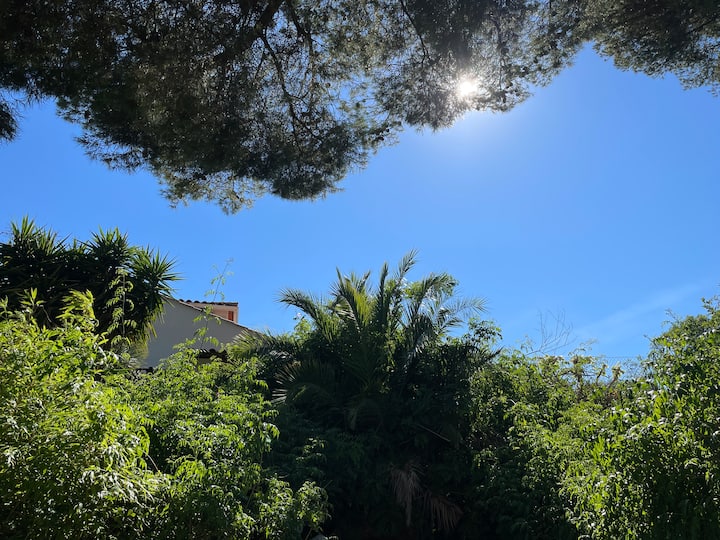 Détente Sous Les Pins, Clim, Pkg - Bandol