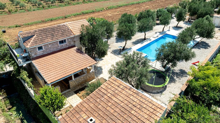 Olive Grove House - Ston