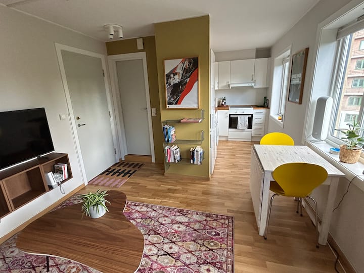 Leilighet I Gamle Oslo - Oslo