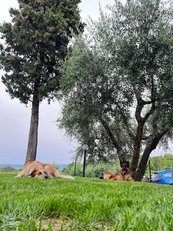 "Il Debbio"  Appartamento  10 Minuti Dal Mare - Rosignano Marittimo