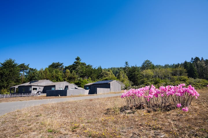 The Sea Ranch - Clef House - Sea Ranch, CA