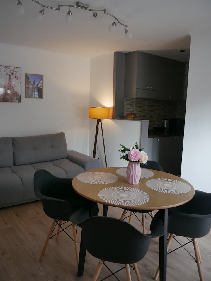 Free Garage In The Center!
Delicia 4 Aparthotel! - Sibiu
