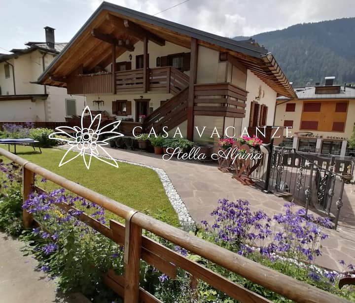 Casa Vacanze Stella Alpina - Auronzo di Cadore