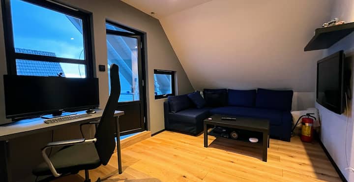 Romslig Rom Med God Plass, Seng, Pult, Sofa Og Tv - Stavanger
