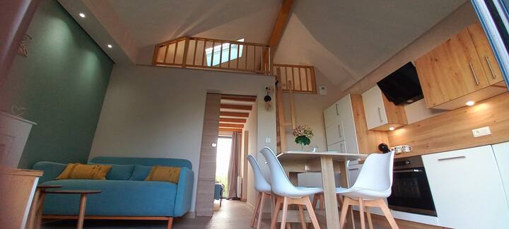 Rare : Mini-maison à Haguenau - Haguenau