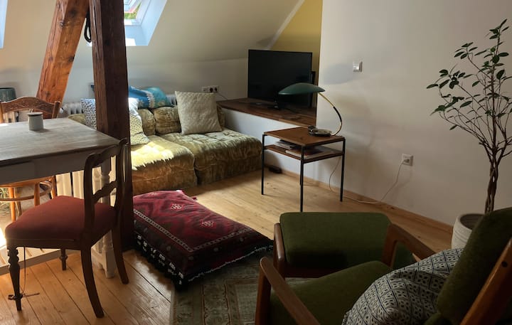 Apartment In Stadtvilla - Karlsruhe