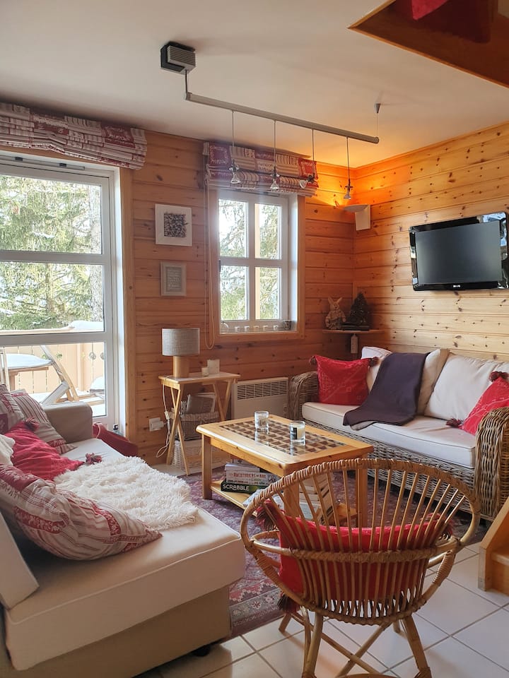 Chalet Norvégien - Passy