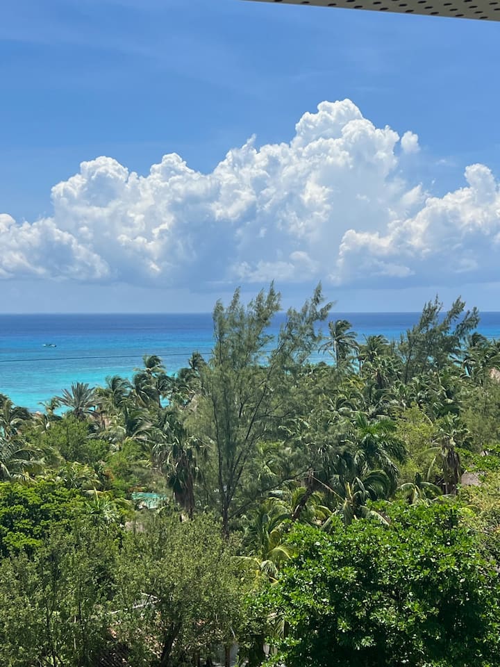 Calle 38: Few Steps To The Beach - Playa del Carmen