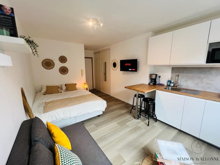 Le  Cocon Wallon : Cointe, Guillemins, Botanique - Liège