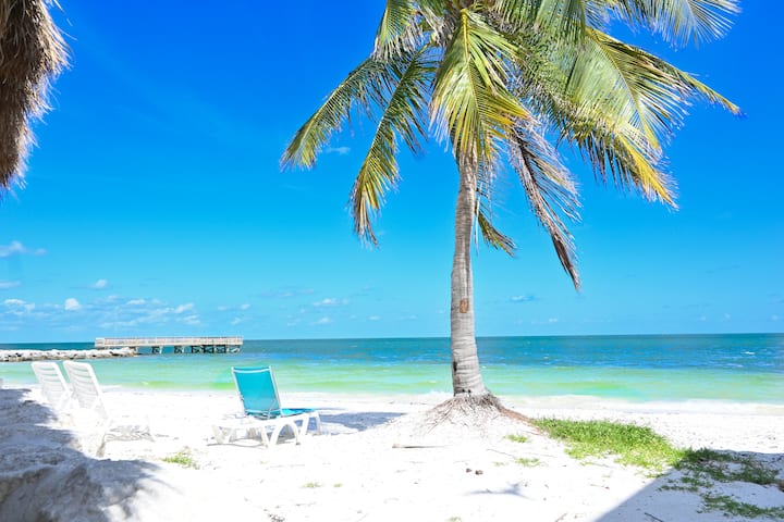 *New* Sea La Vie-pool & Beach - The Bahamas