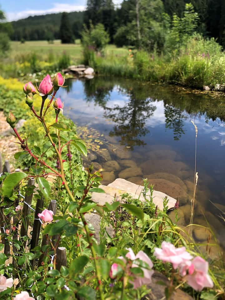 Natur- Und Aktivoase - Buchenberg
