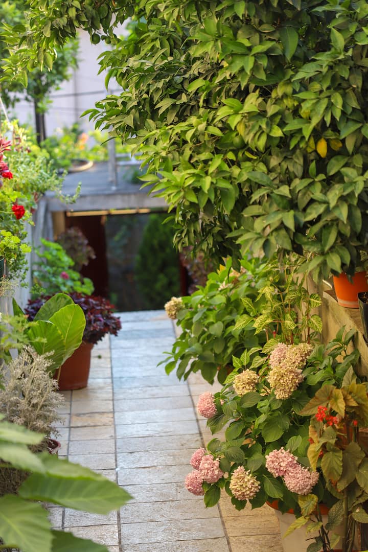 Guest House Veizaj City Center - Distretto di Berat