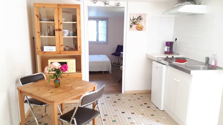 Studio Avec Jardin - Tours