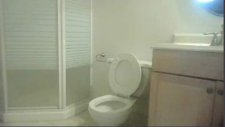 Charming Walkout Basement - Bradford