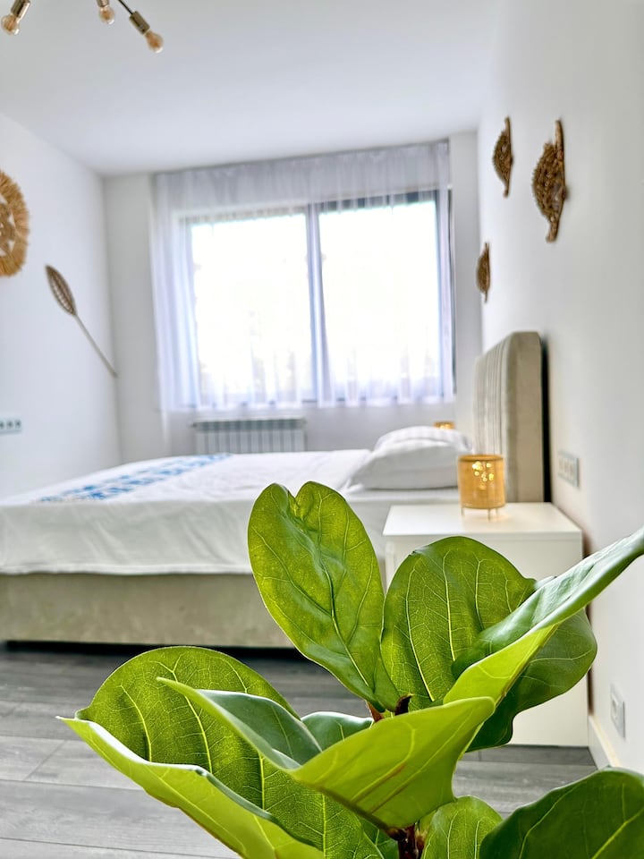 Amos Apartment- Free Parking - Cluj-Napoca
