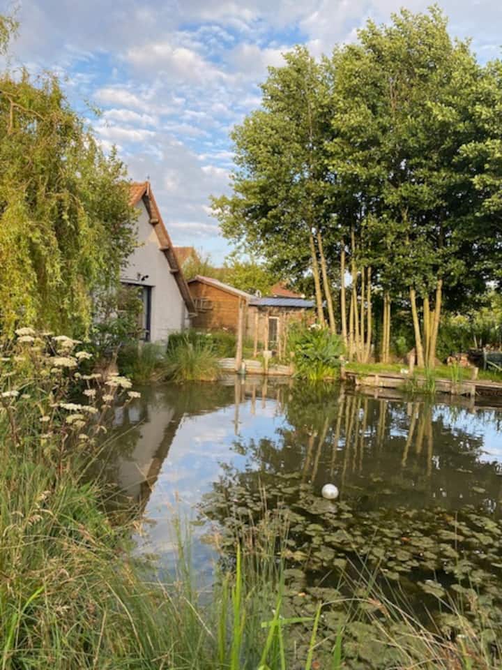Maison D'hôte Au Bord De L'eau - Guînes