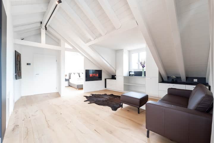 Wohnung Mit Extraklasse An Fantastischer Lage! - Winterthur