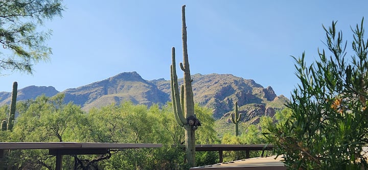 Your Serenity In A Sonoran Oasis - Mount Lemmon, AZ