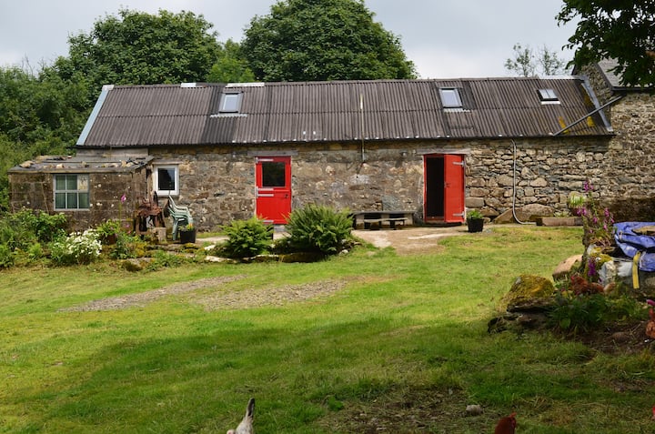 Refuge - Fishguard
