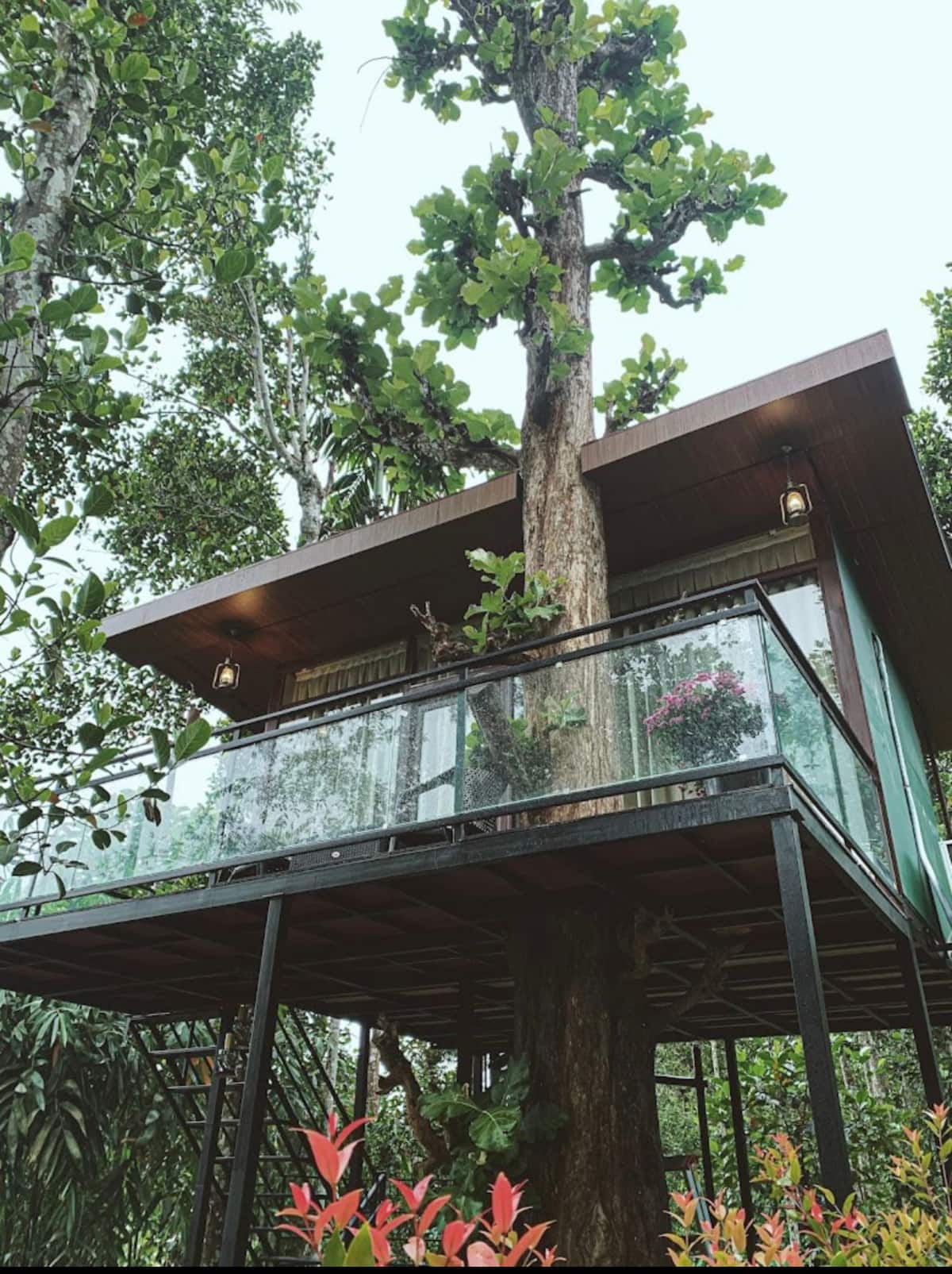 Karnataka Treehouse Holiday Rentals - India | Airbnb