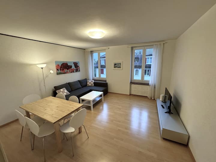 City Center / Wipkingen – 3 Rooms, Quiet - Zürich