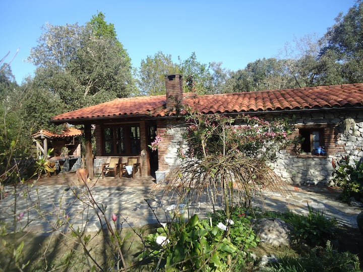 Cabaña Bucólica Entre Bosques. - Llanes