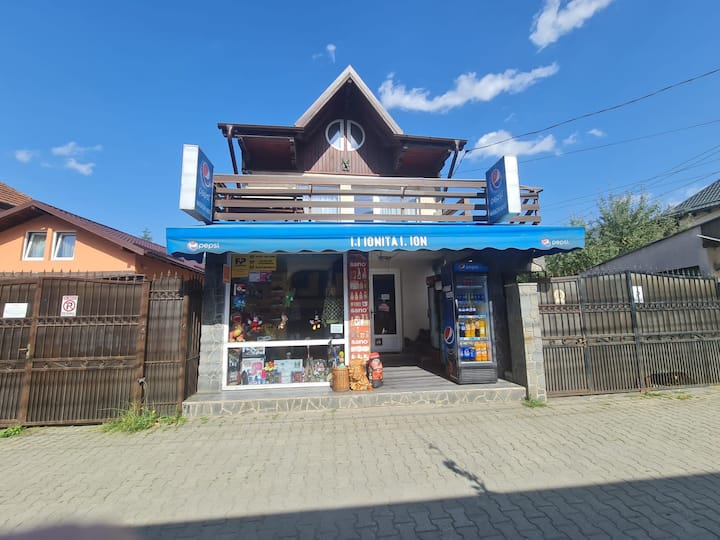Casa Gina - Bușteni