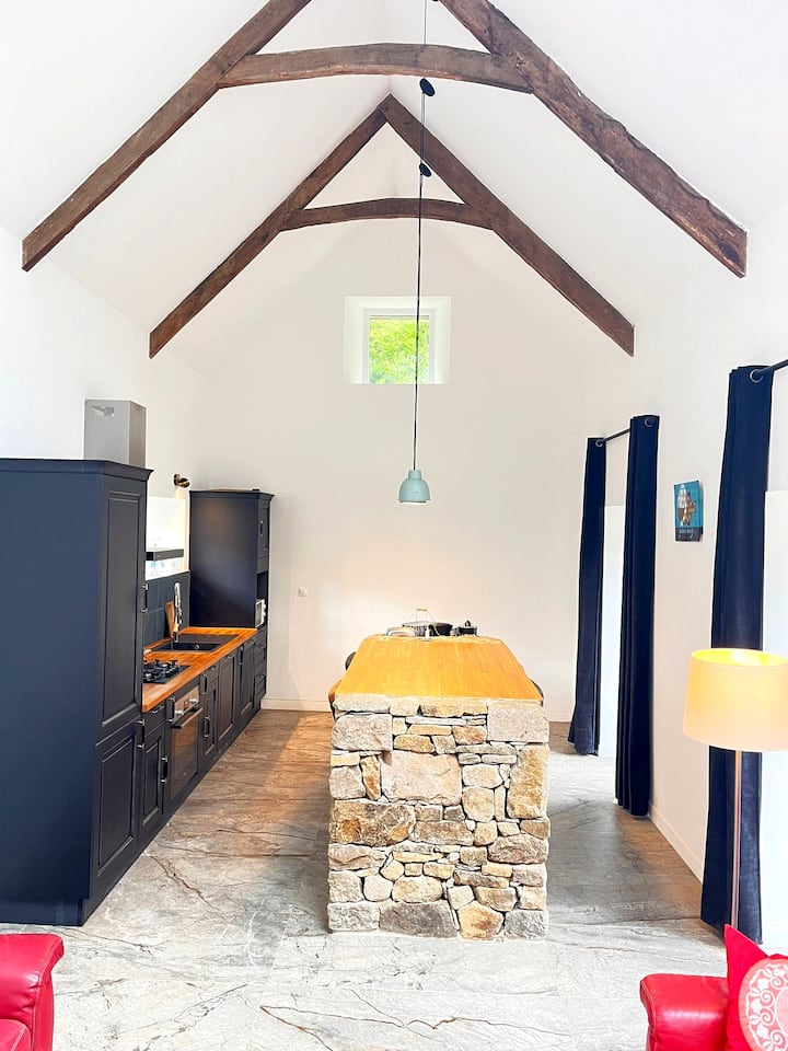 Moulin Rénové Avec Parc - Lannion