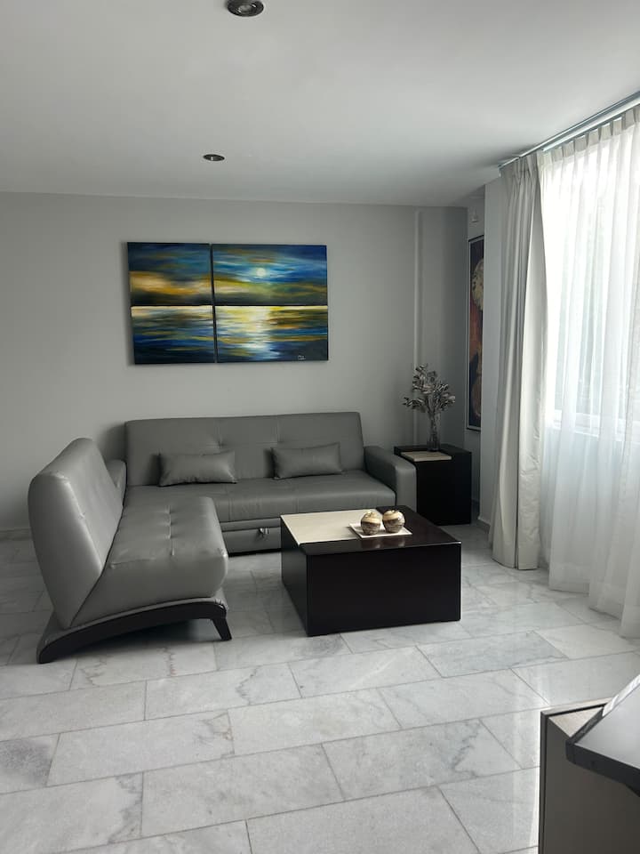 San Luis Departamento Dos Recámaras - San Luis Potosí