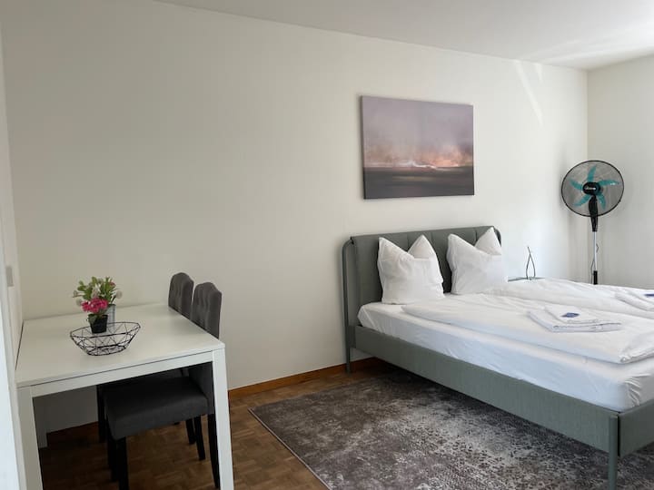 Practical Studio Nearby Lake (Cross 6) - Zurigo