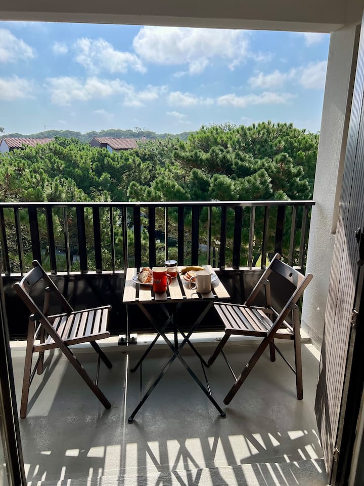 Appartement 300m De La Plage - Soustons