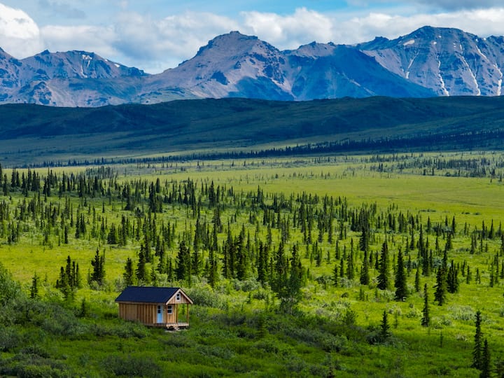End Of Stampede Road Cabin *New* - Denali National Park and Preserve