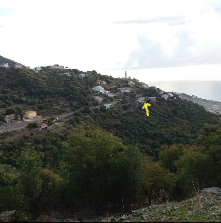 T1 Dans Un Hameau Très Calme - Bastia