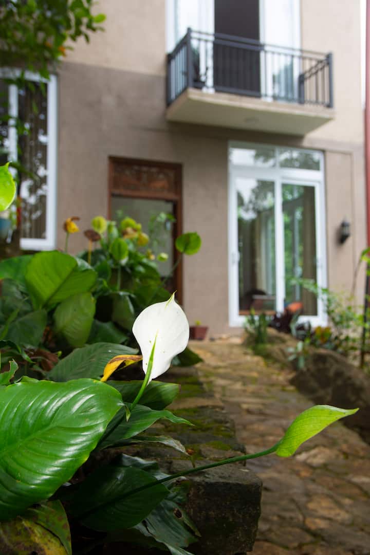 Peaceful Peak - Kandy