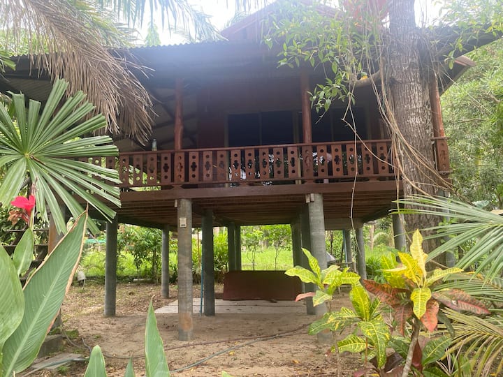 Cozy House Chaloklum - Ko Pha Ngan